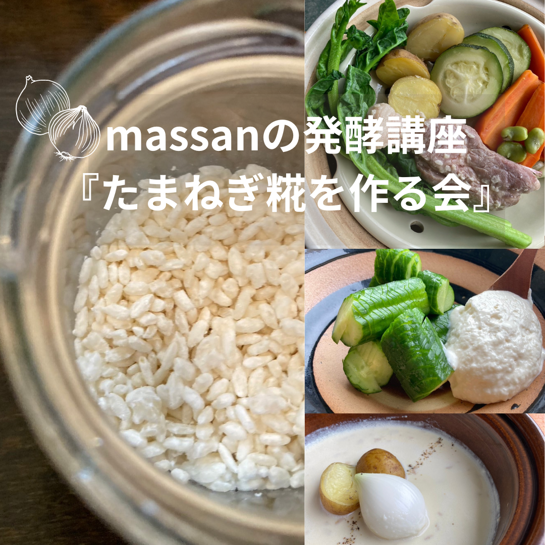 massanの発酵講座 7月30日（火）開催『たまねぎ糀を作る会』のお知らせ @東京店 | 長谷園だより～土鍋のある暮らし～